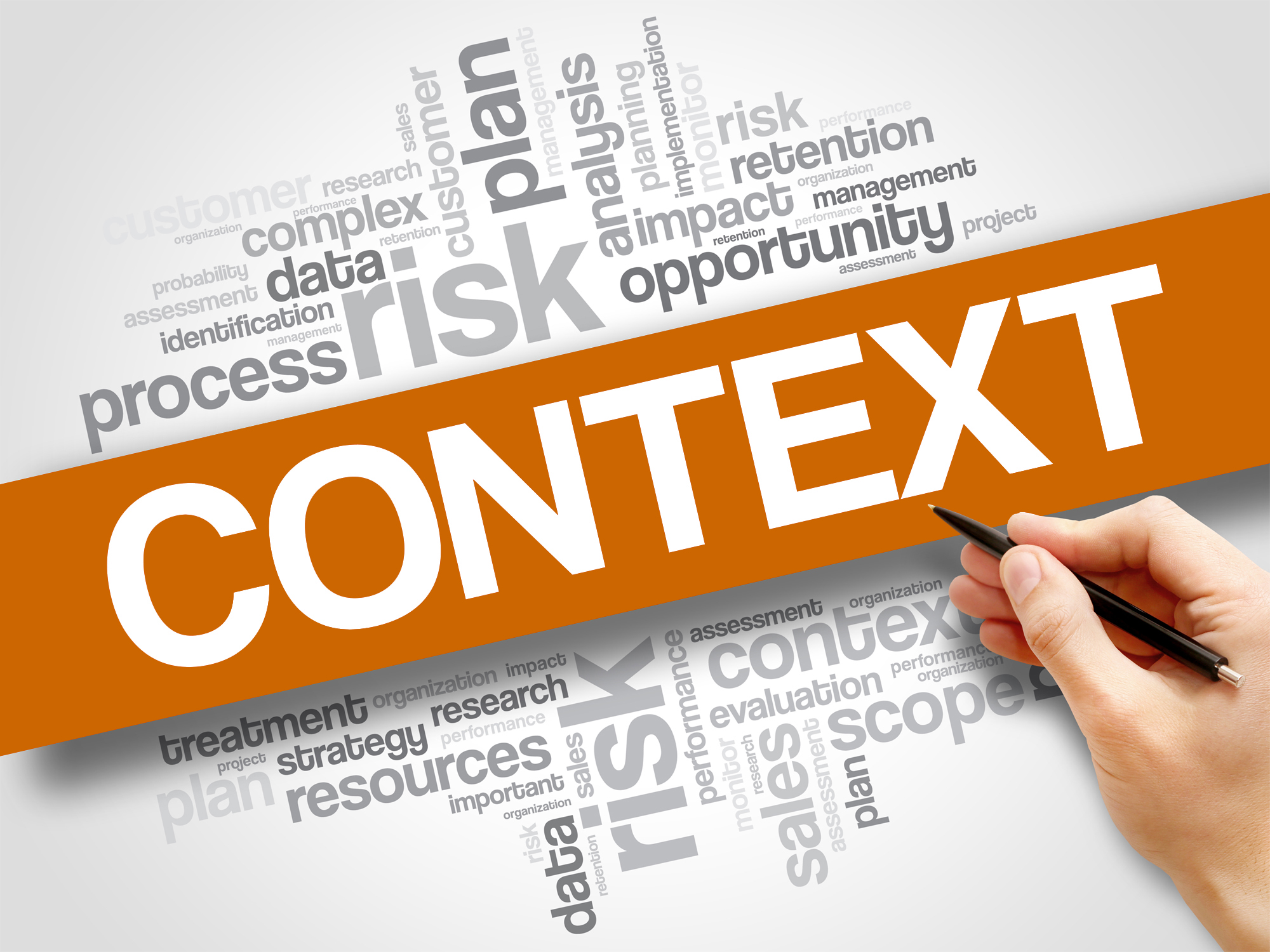 Auditing Organizational Context - Business Management Systems Ltd